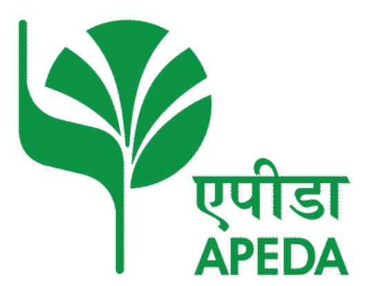 Anaj Agro India LLP - Premium Agricultural Exports from India